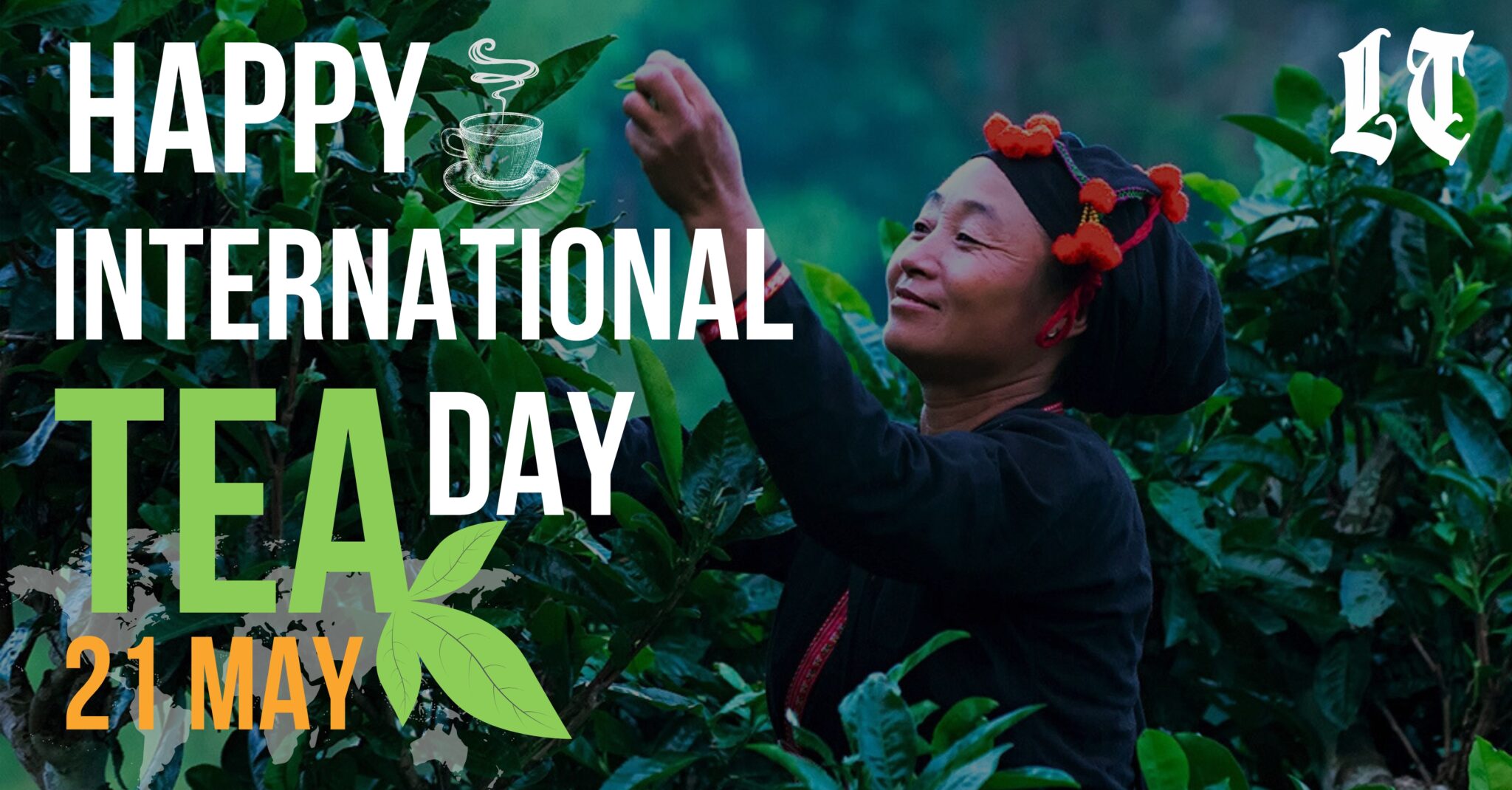 Laos Celebrates Its Ancient Tea Legacy on International Tea Day